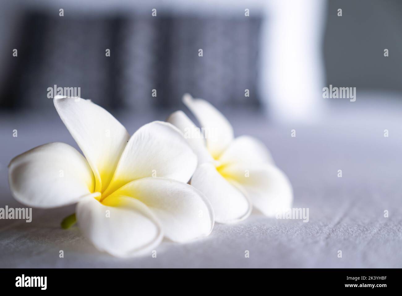 Lan thom flower hi-res stock photography and images - Alamy