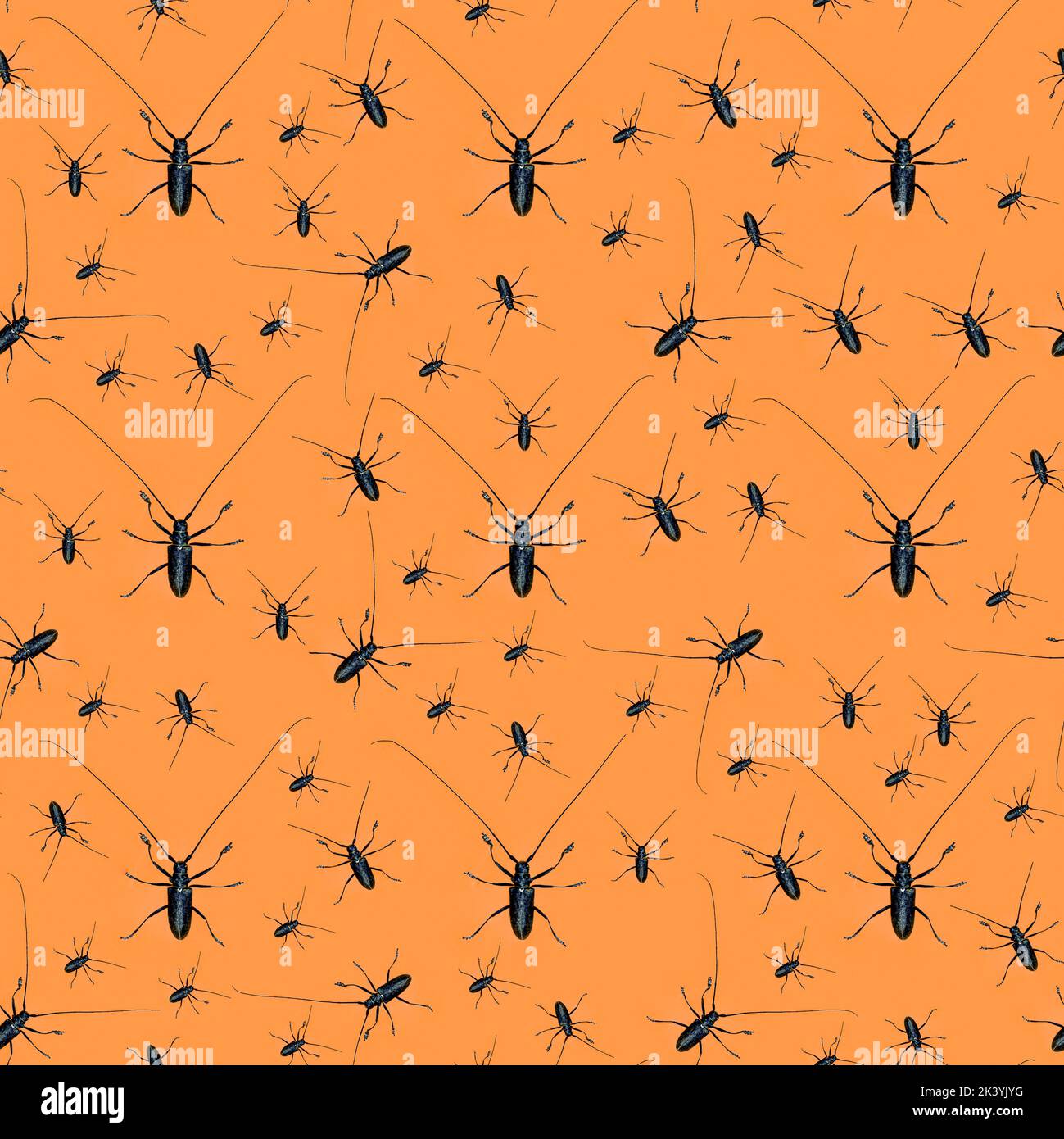 Halloween seamless pattern made with creepy black beetles with long ...
