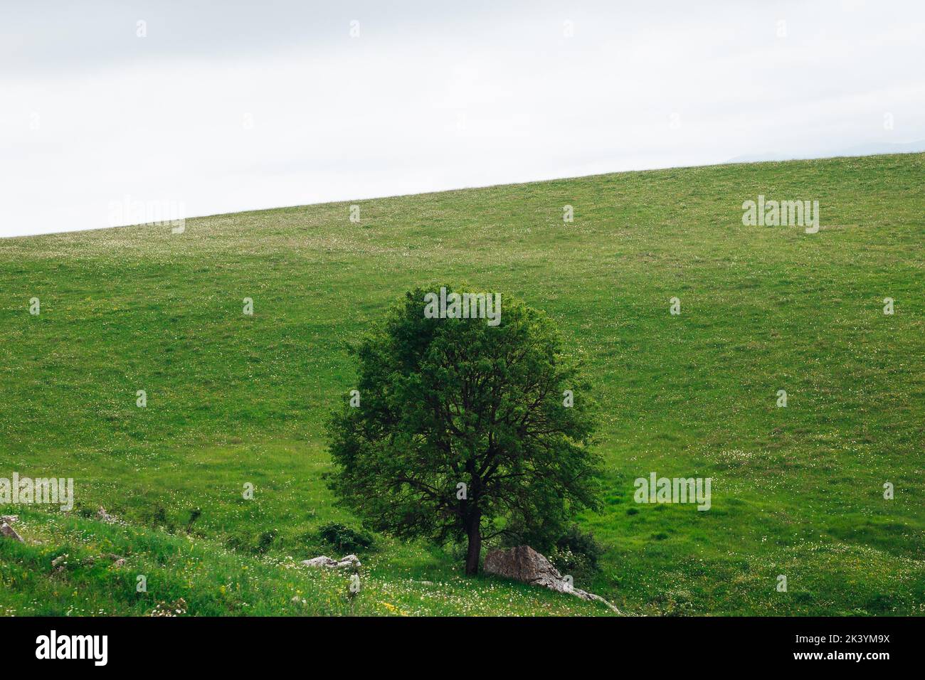 A scenic view of Armenian green-covered mounts Stock Photo - Alamy