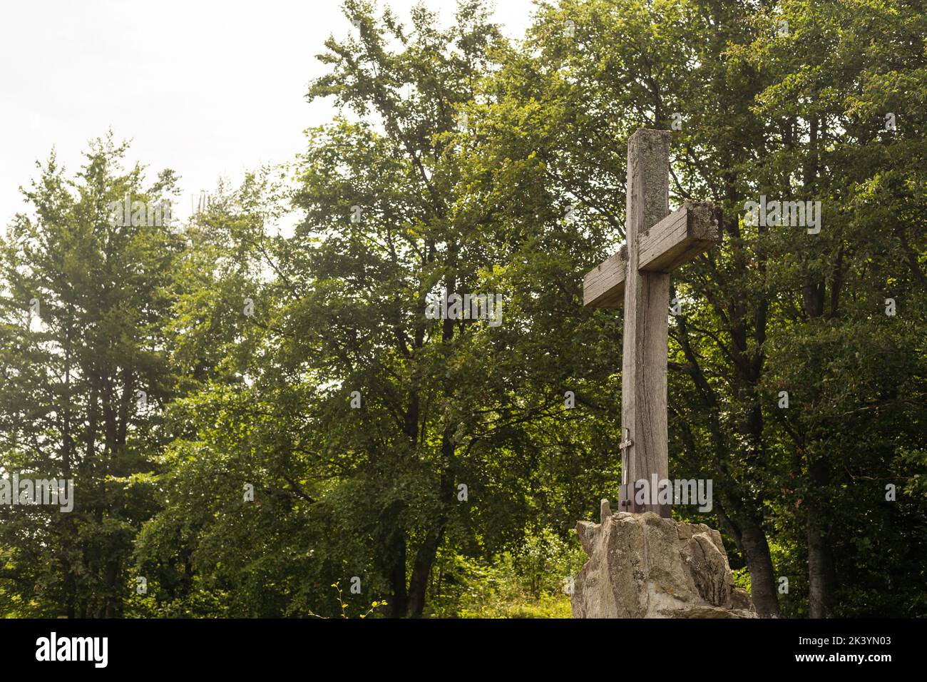 Grave stone cross on blurred background of cemetery in green forest ...