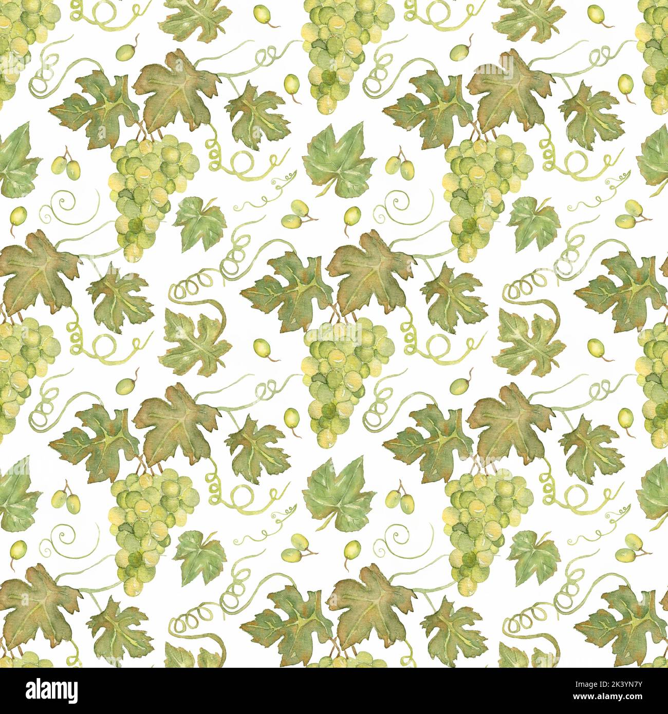 Seamless pattern of green grapes, grape vines repeat paper, hand drawn ...