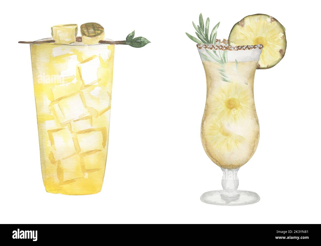 Watercolor hand drawn cocktail illustration set with pineapple ...