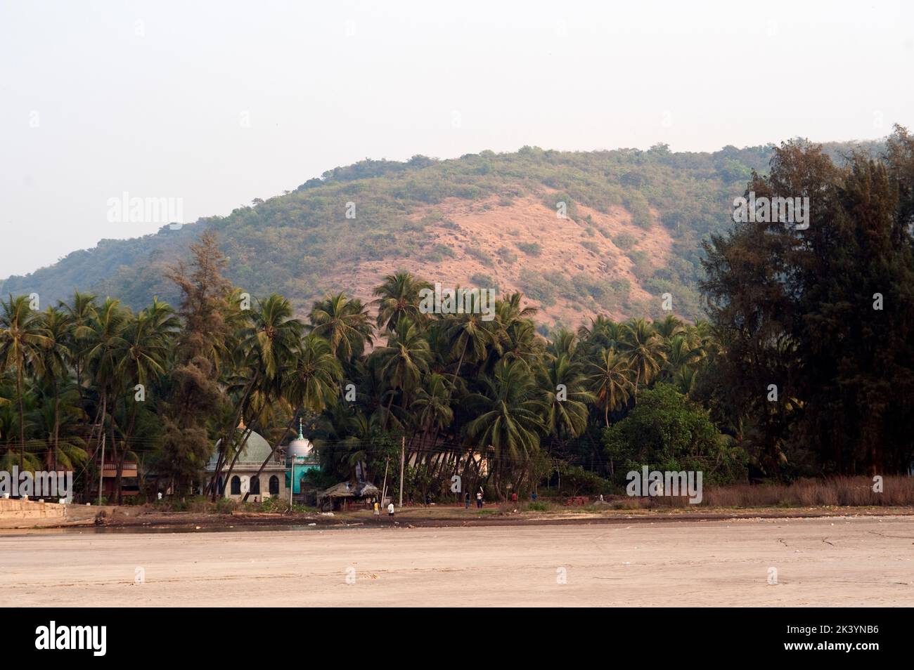 Karde village and Mosque on beach in district Ratnagiri state ...