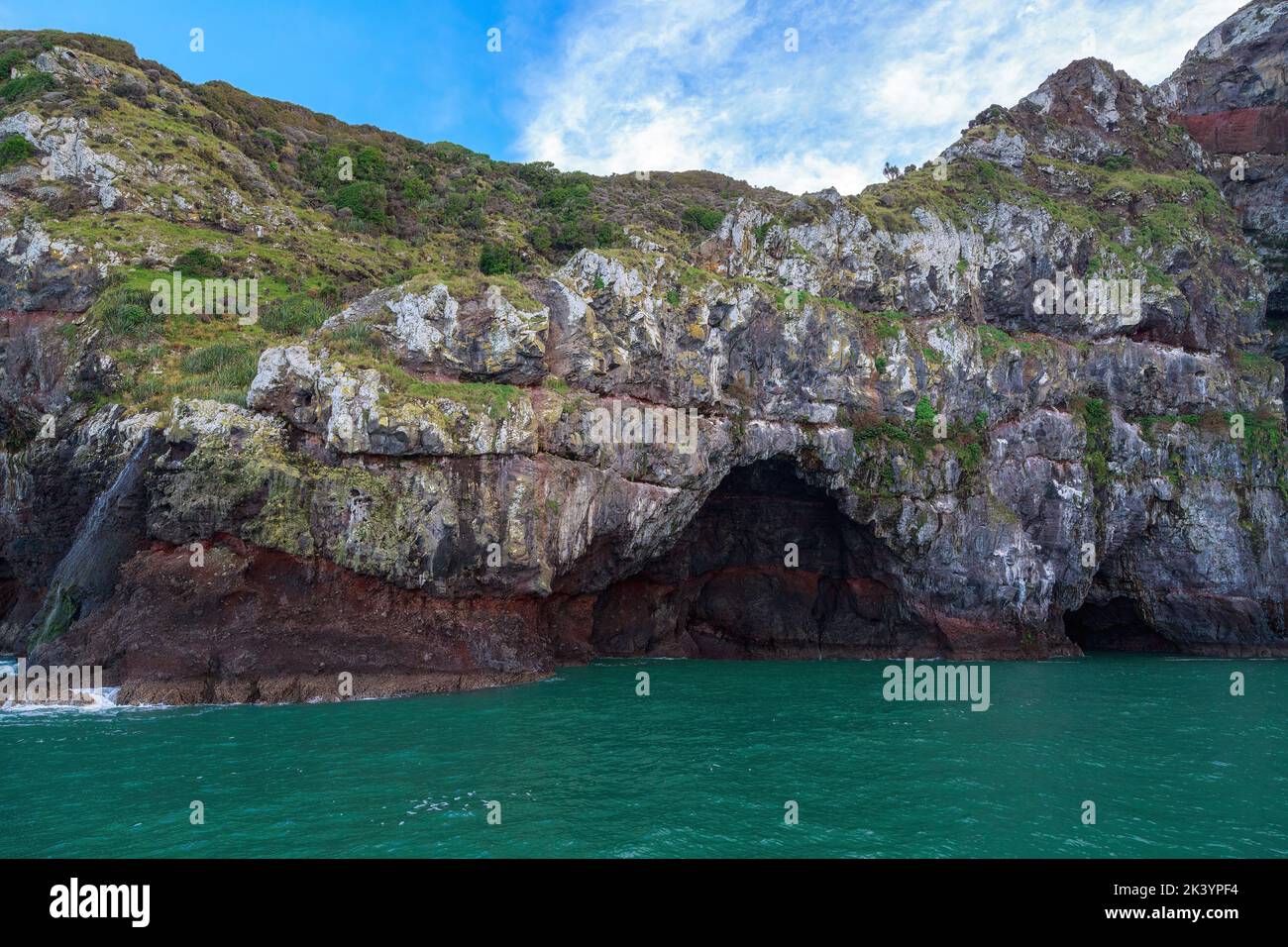 A sea cave in a steep coastal cliff. Photographed in the Akaroa Marine ...