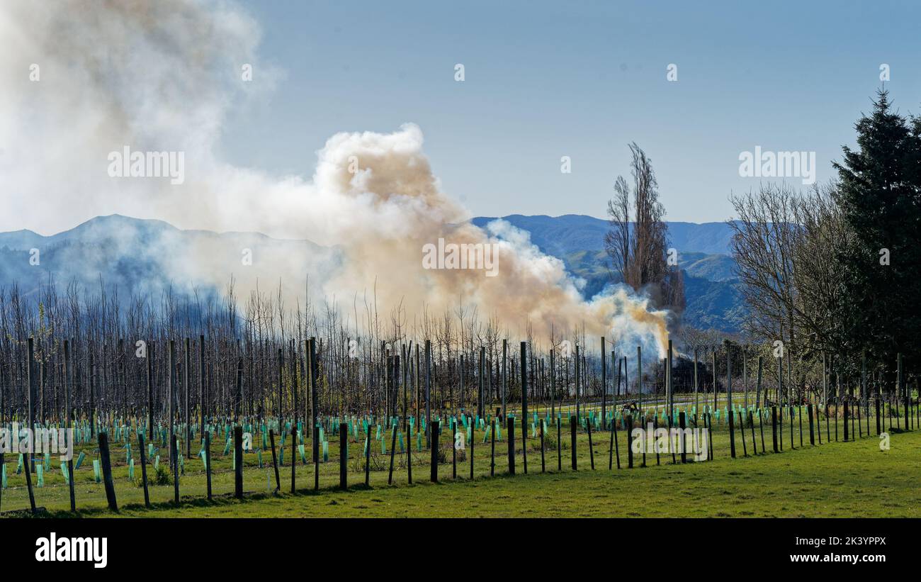 Smoke from an orchard prunings burn off bonfire, filling the valleys ...