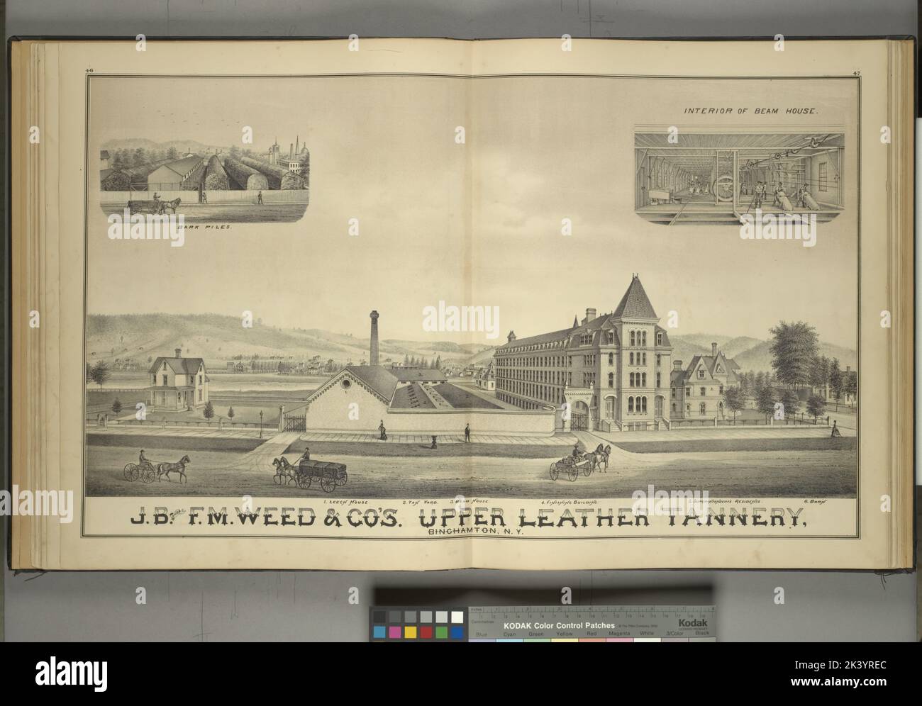Bark piles.; Interior of beam house.; J.B. and F.M. Weed & Co's Upper ...
