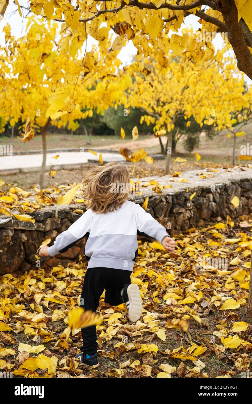 Child jump leaves hi-res stock photography and images - Alamy