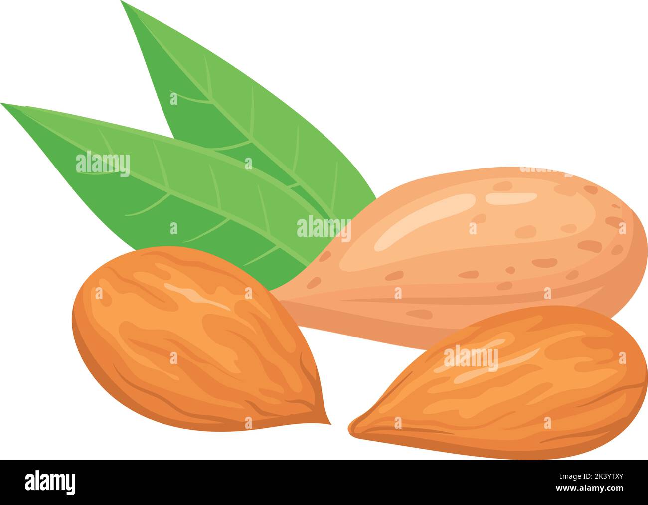 Almond cartoon icon. Cartoon superfood. Vegan food isolated on white ...