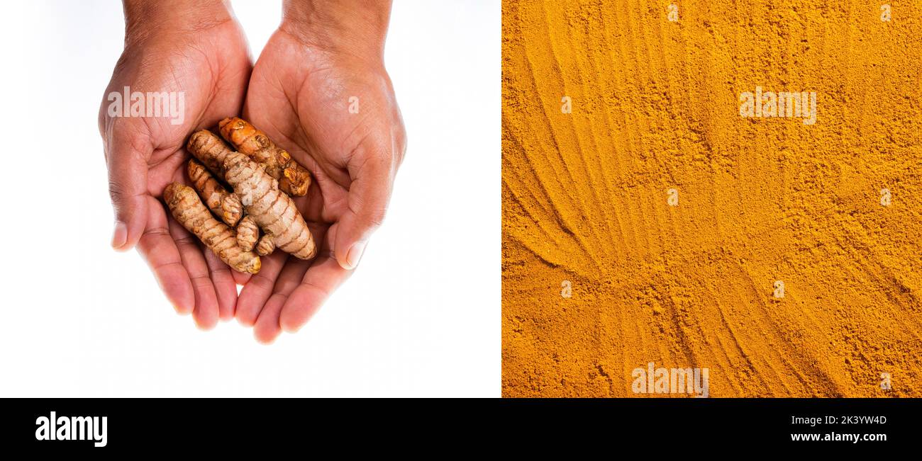 Curcuma longa fresh turmeric hi-res stock photography and images - Alamy