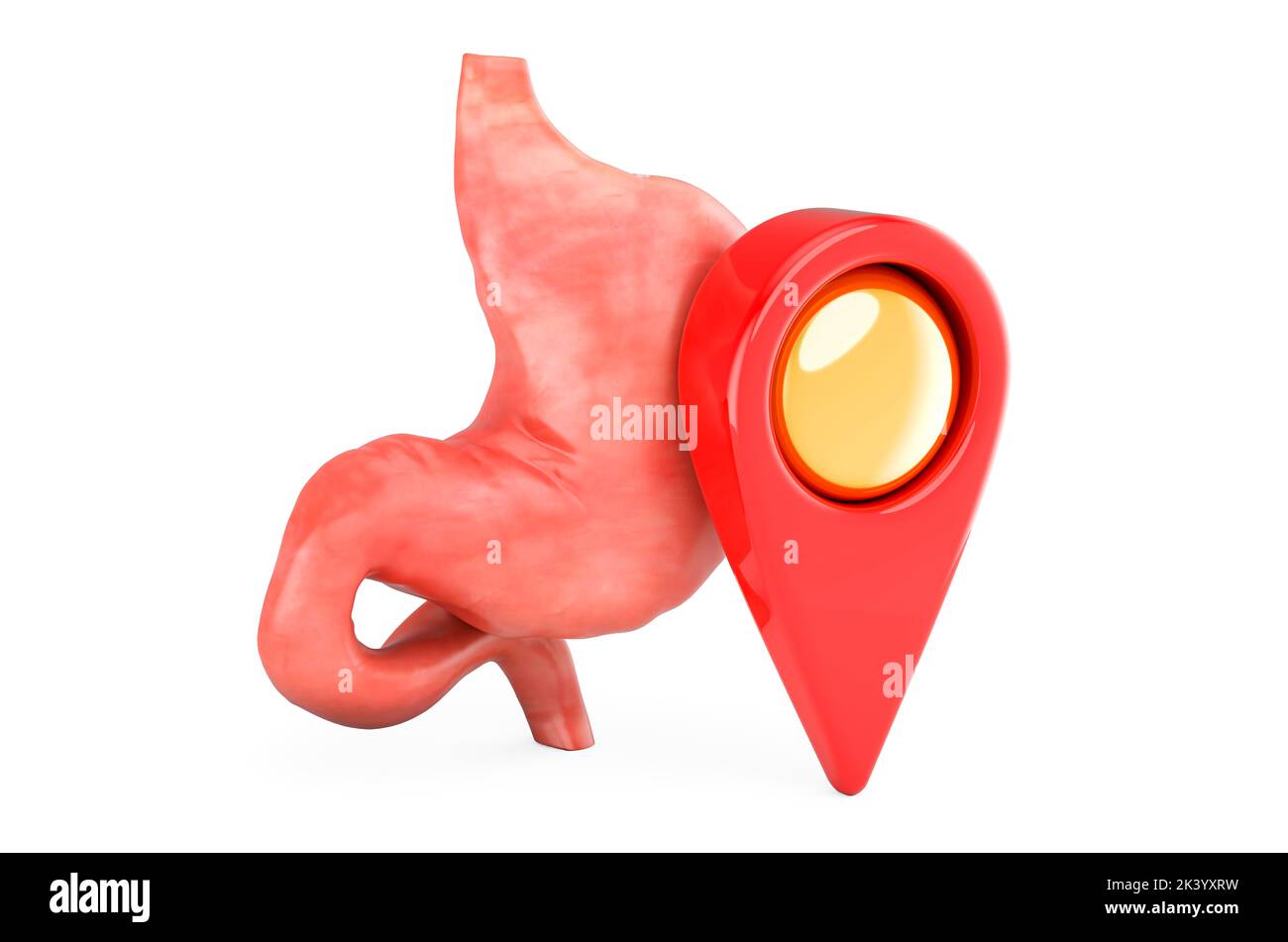 Human stomach with map pointer. Hospital location concept. 3D rendering ...