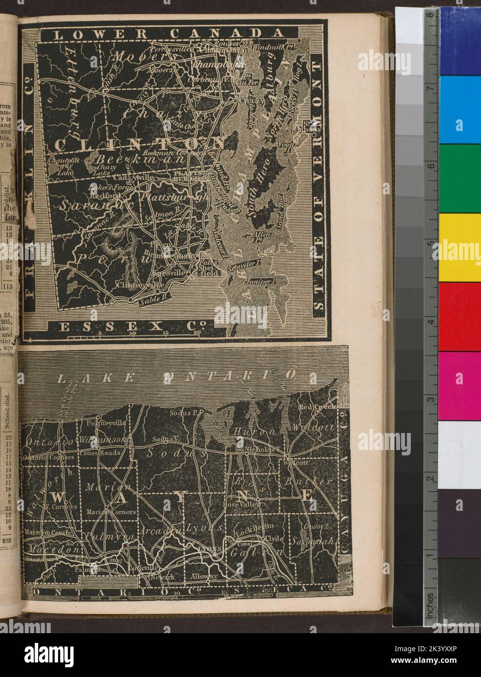 Wayne County. Cartographic. Atlases, Maps. 1838. Lionel Pincus and ...