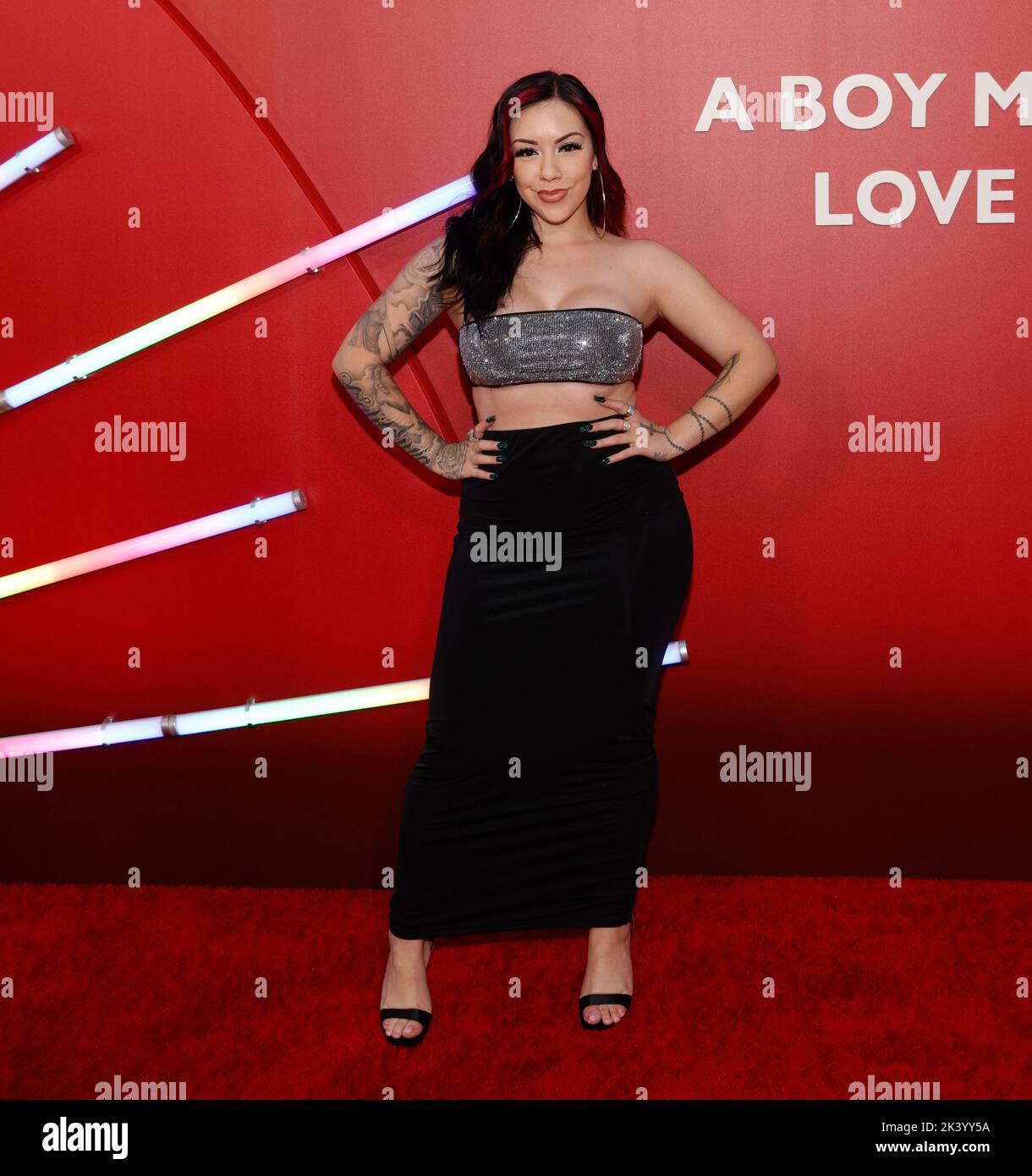 Salice rose hi-res stock photography and images - Alamy