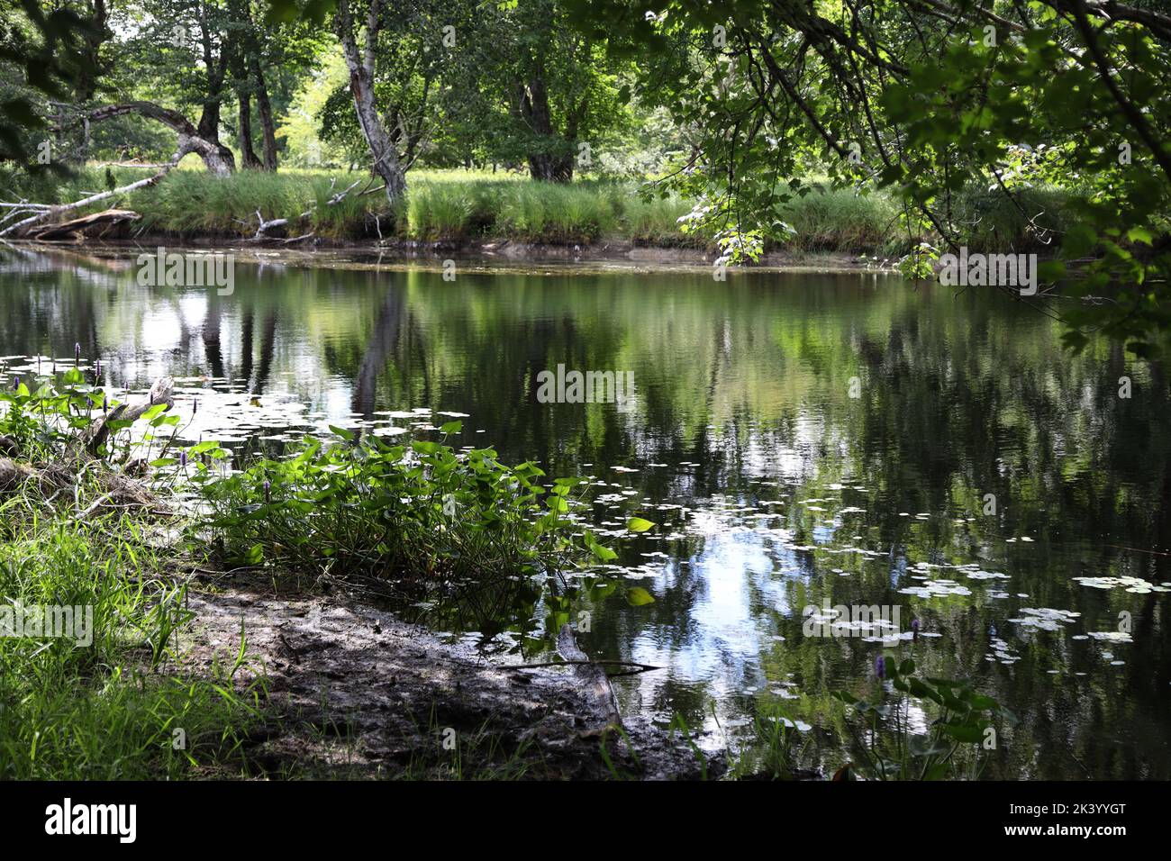 Image from Kejimkujik National Park, Canada Stock Photo - Alamy