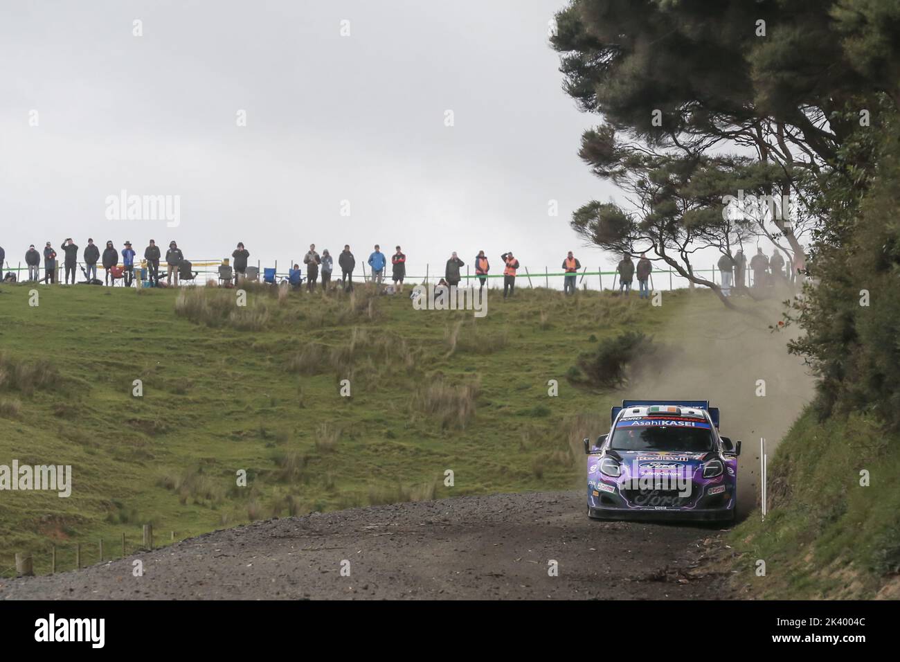 42 BREEN Craig (irl), NAGLE Paul (irl), M-Sport Ford World Rally Team ...