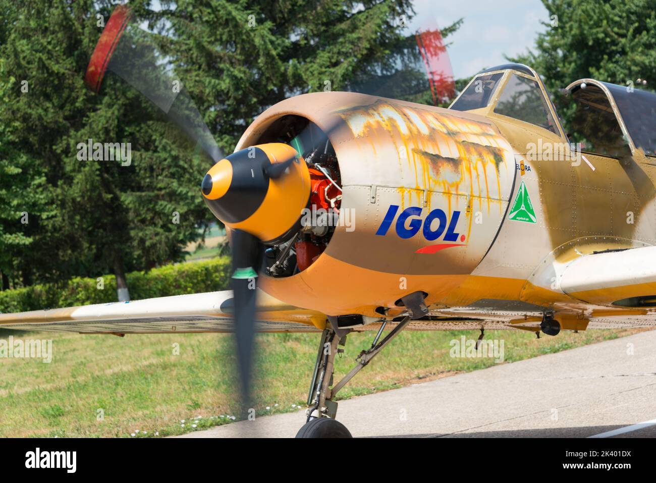 Pilot waving for the public at an air show Stock Photo - Alamy