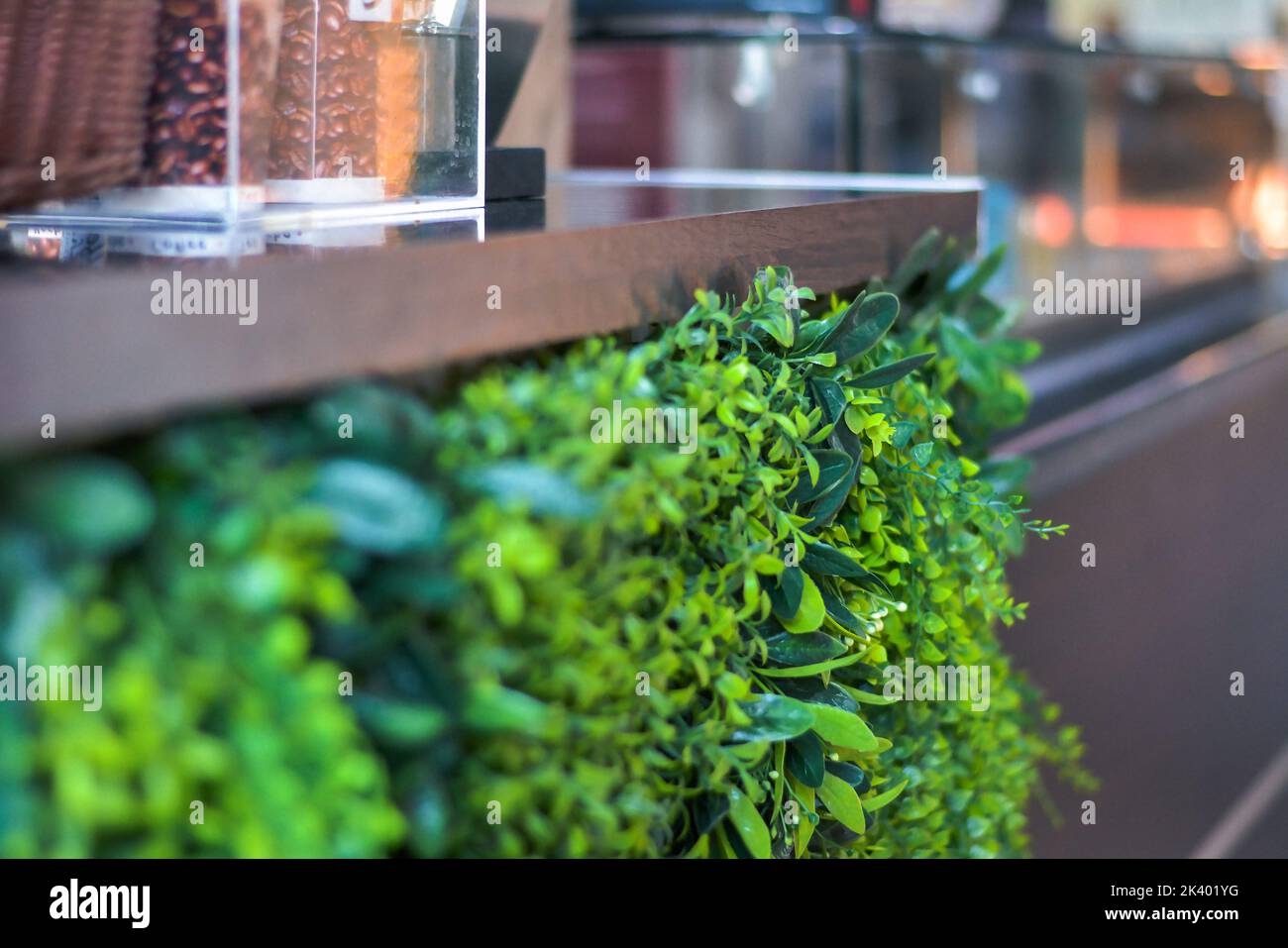 Counter with artificial plants in a pub Stock Photo - Alamy