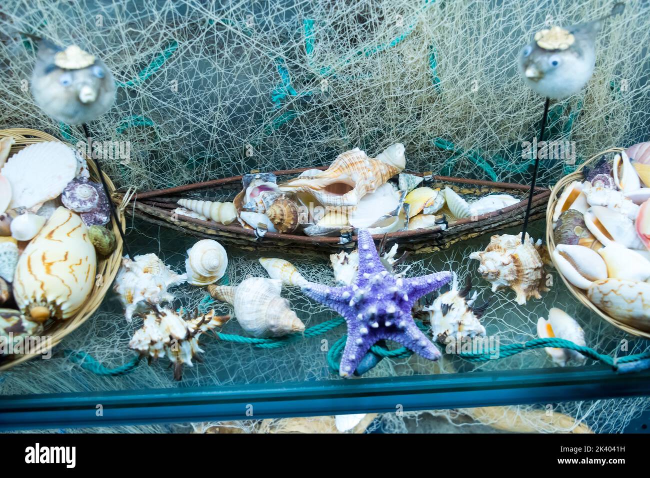 Marine shells hi-res stock photography and images - Alamy