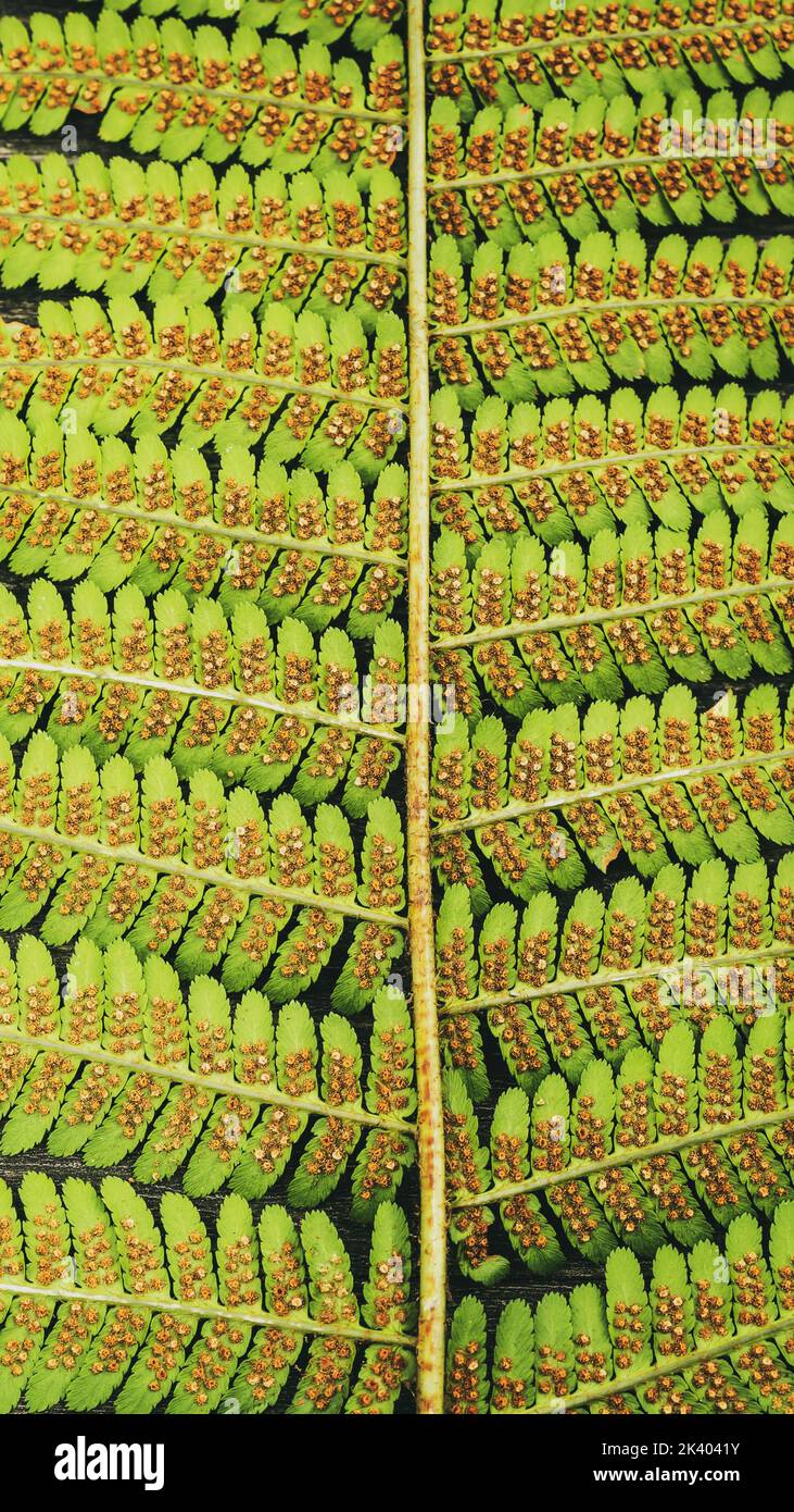 Eco friendly, environmentally friendly, nature phone background ...