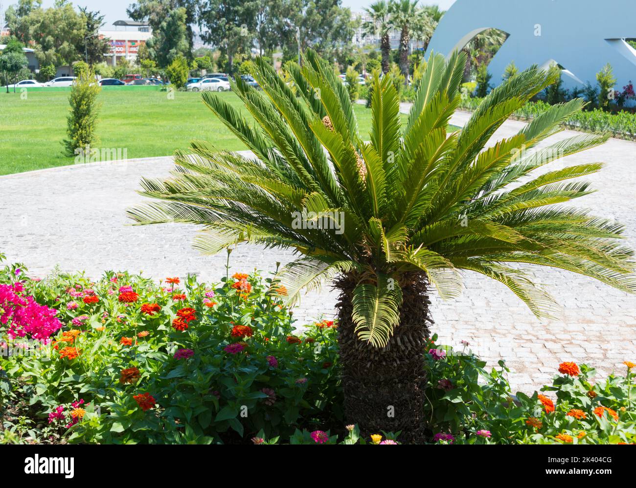 Tropical landscape with palm trees Stock Photo - Alamy