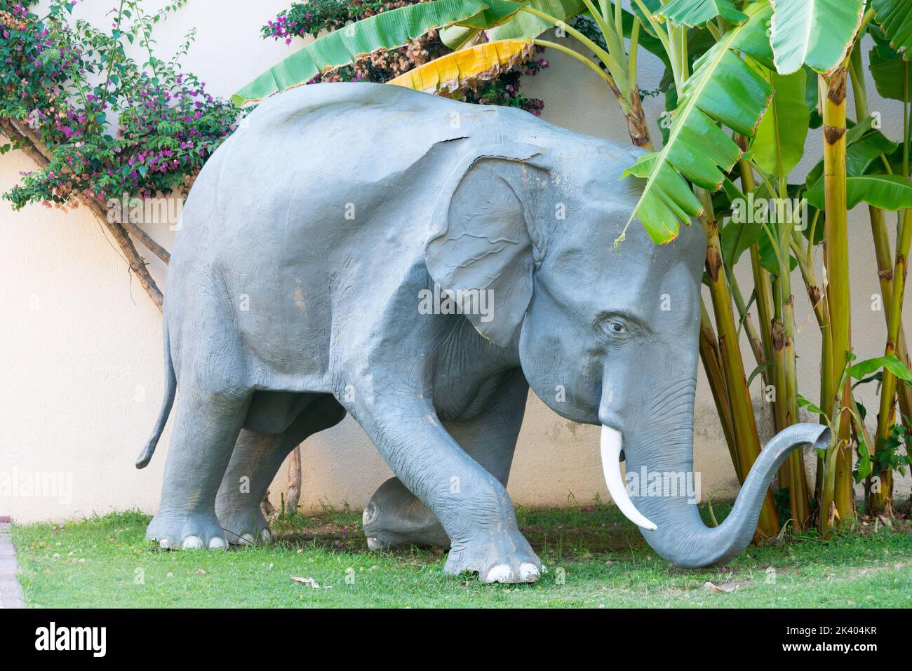 Formal elephant hi-res stock photography and images - Alamy