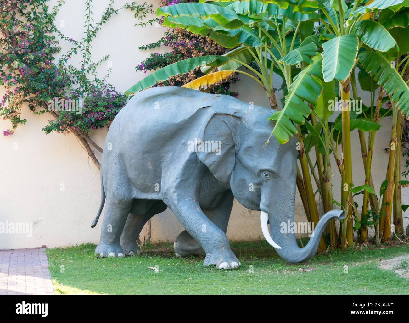 Formal elephant hi-res stock photography and images - Alamy