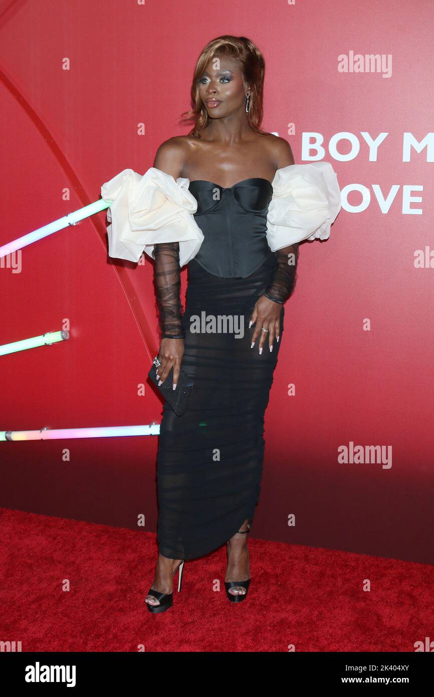 LOS ANGELES - SEP 28: Symone at the Bros Premiere at Regal LA Live on ...
