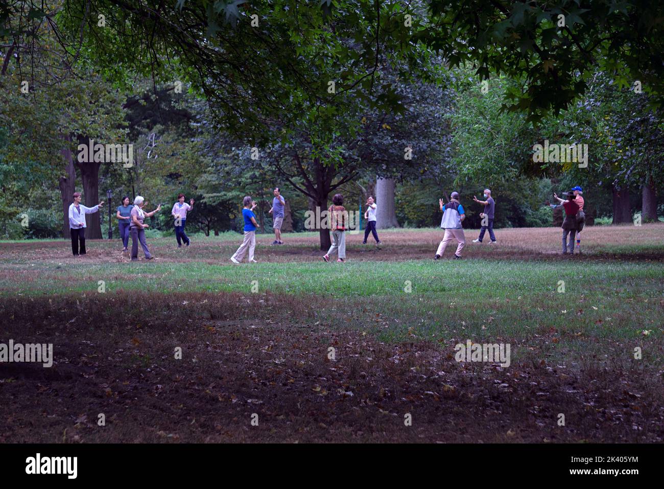 BAGUA. Asian American Buddhists circumambulate a tree as a sign of ...