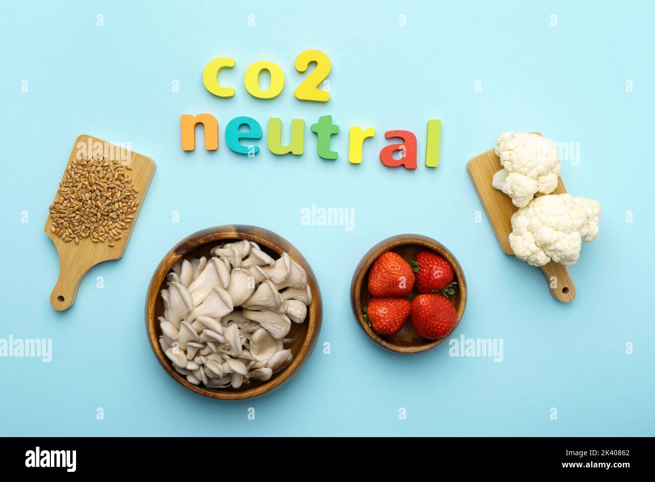 CO2 energy carbon ecology label concept. Carbon neutral. Local organic ...