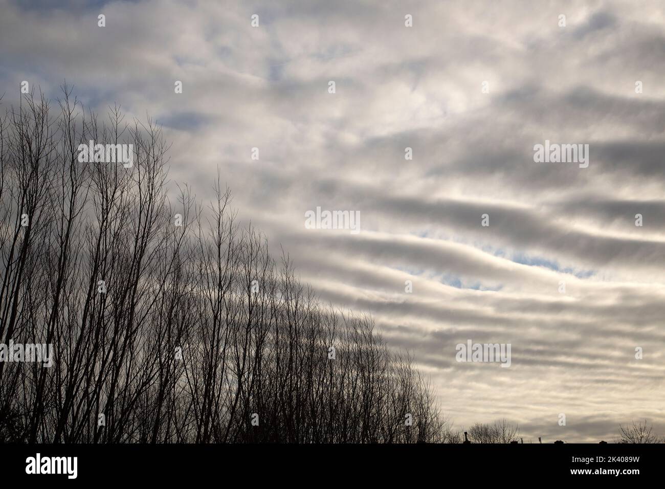 Stratocumulus Undulatus