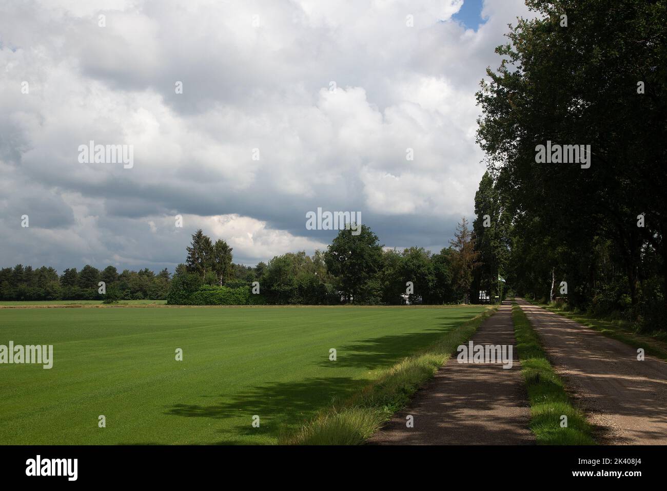 Typical landscape of Dutch province Limburg, Netherlands Stock Photo ...