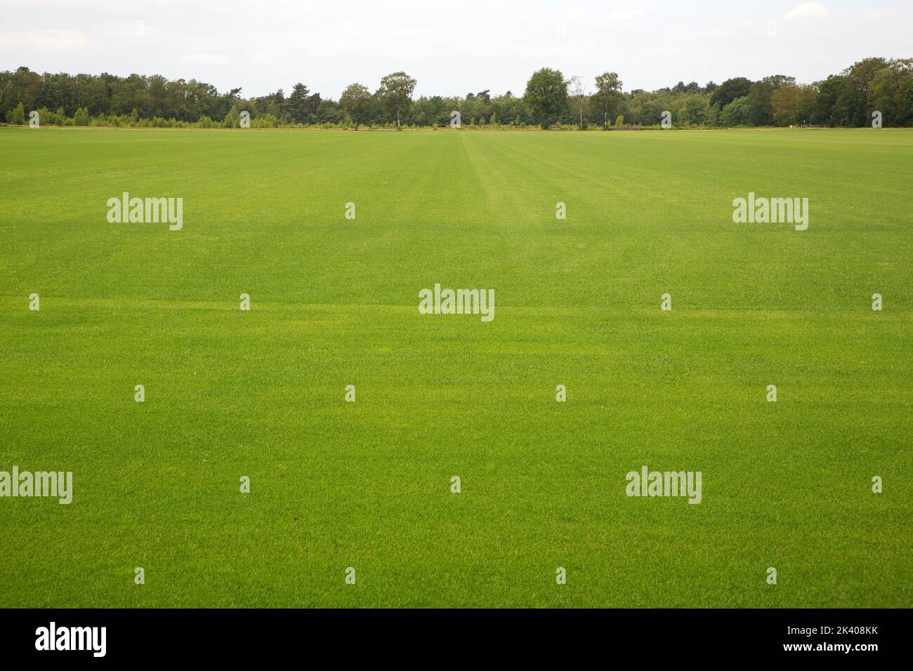 Field to cultivate grass for playing fields Stock Photo - Alamy