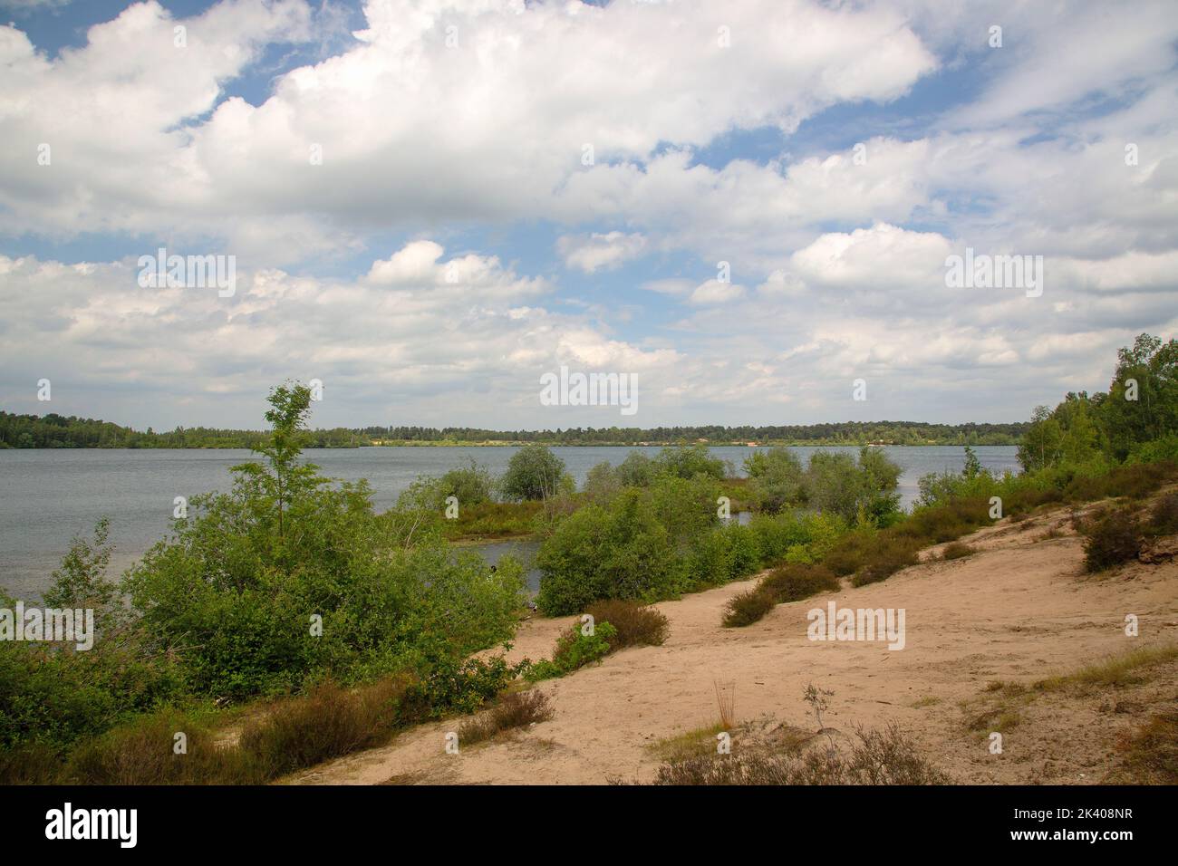 Typical landscape around Lake Reinders in Dutch National Park De ...