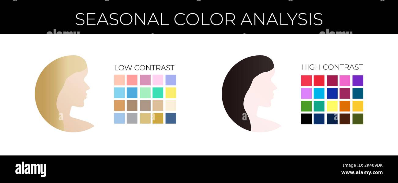 Seasonal Color Analysis Low and High Contrast Illustration with Color ...
