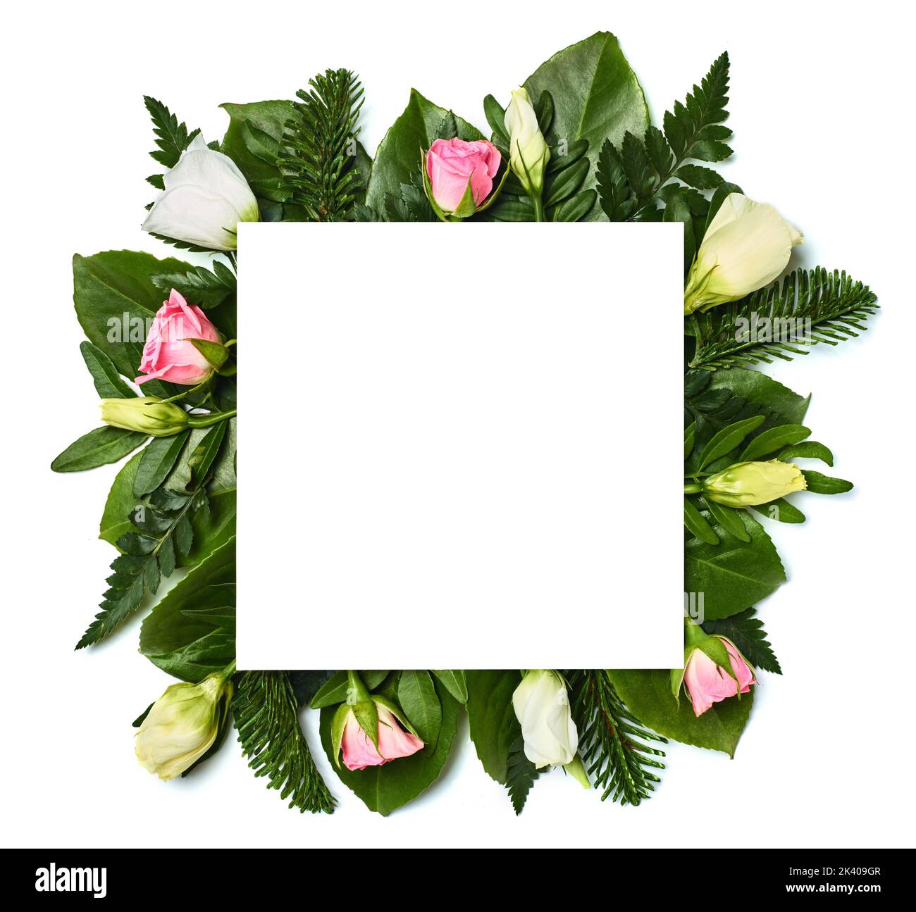 leaf flower greeting card note paper frame background flat lay floral ...