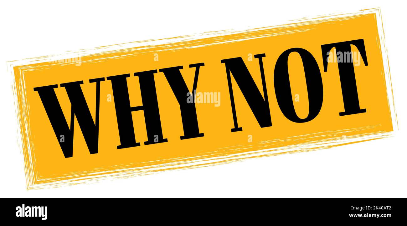 WHY NOT text written on orange-black rectangle stamp sign Stock Photo ...
