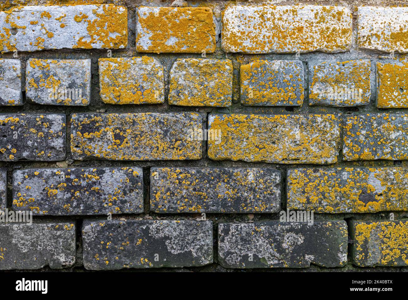 Moldy brick hi-res stock photography and images - Alamy