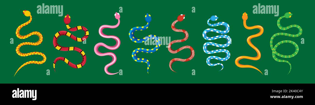 Set of tropical snakes. Wild poisonous vipers. Colored toxic reptiles ...