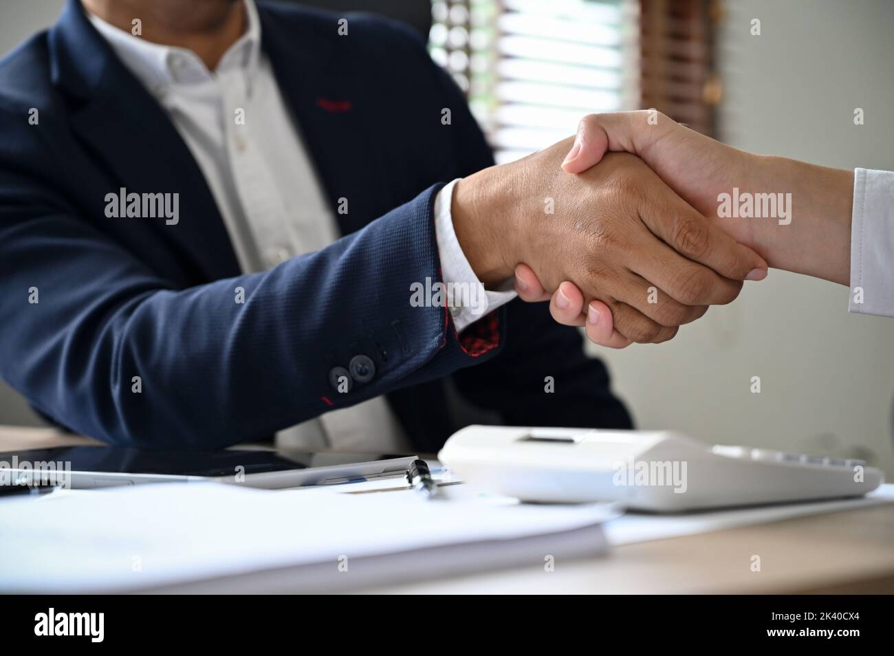 Professional Asian businessman shaking hand with his business partner ...