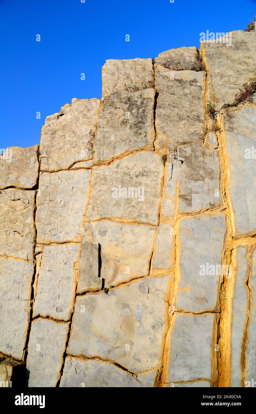 Fractures called joints in a sedimentary rock Stock Photo - Alamy
