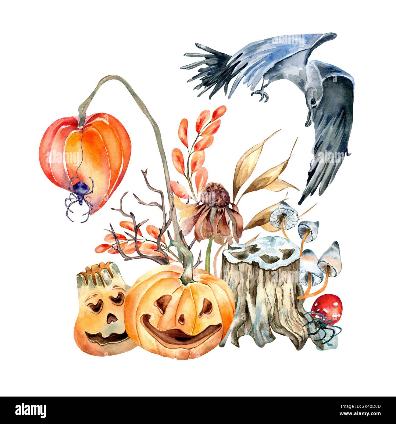 Pumpkin plant wilted hi-res stock photography and images - Alamy
