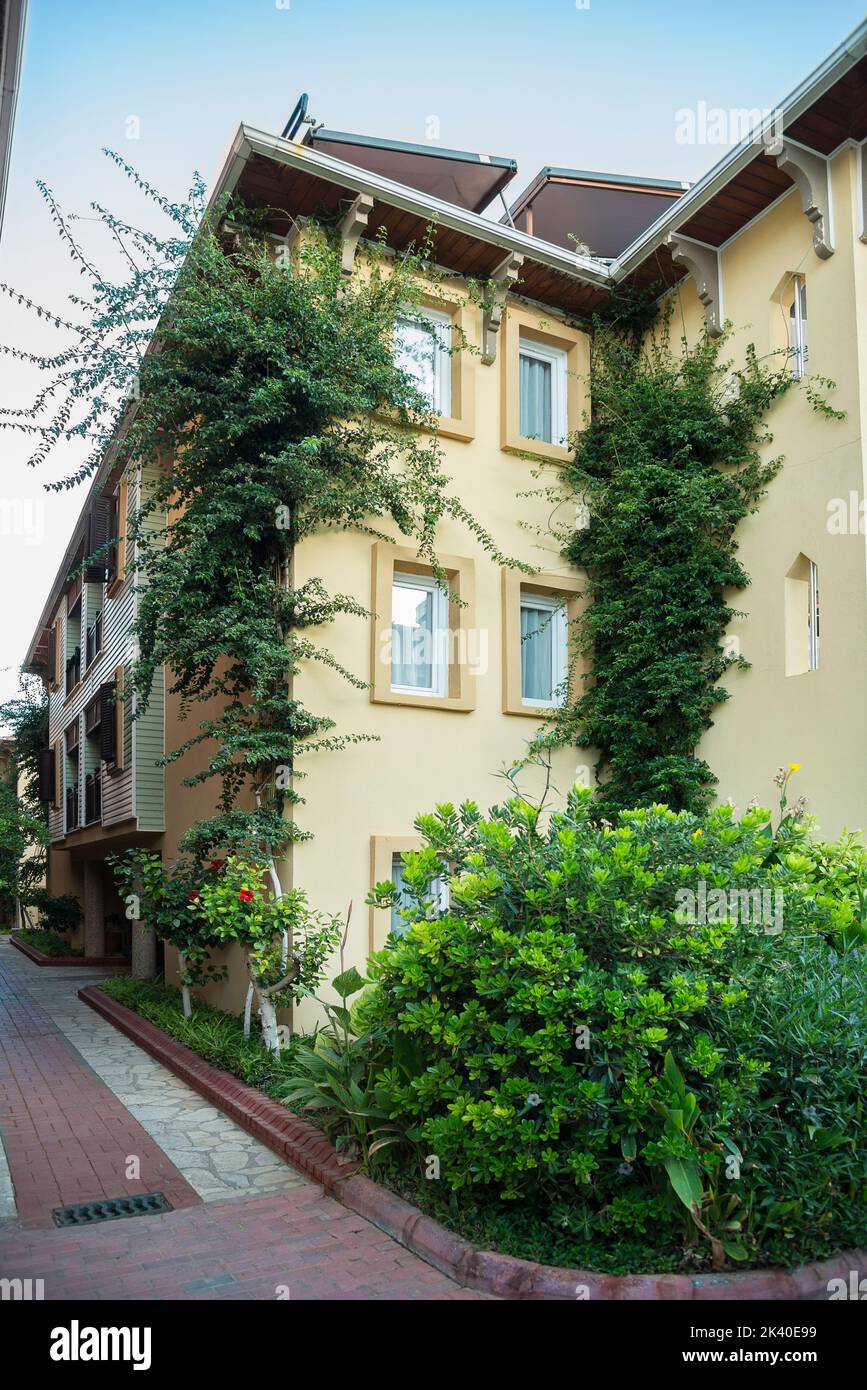 House overgrown with a greenery and flowers Stock Photo - Alamy
