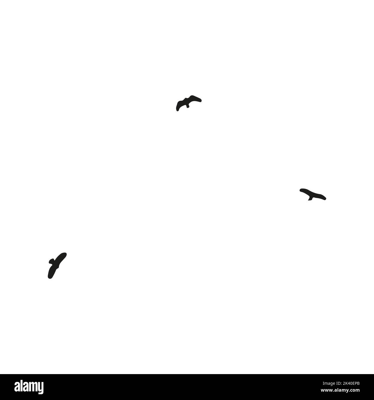 A Hand Drawn Flock of Flying Birds. Monochrome Bird Silhouettes Stock ...