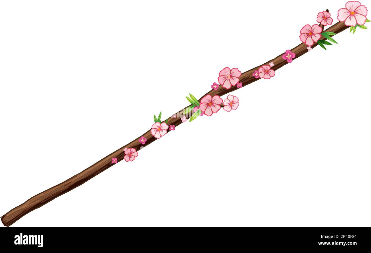 Cherry blossom branch isolated illustration Stock Vector Image & Art ...
