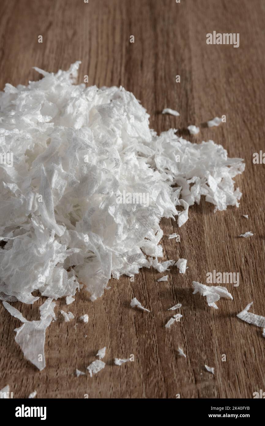Shredded paper hamster hi-res stock photography and images - Alamy