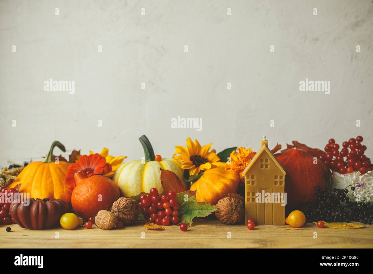 Autumn still life. Stylish pumpkins, autumn flowers, berries, leaves ...