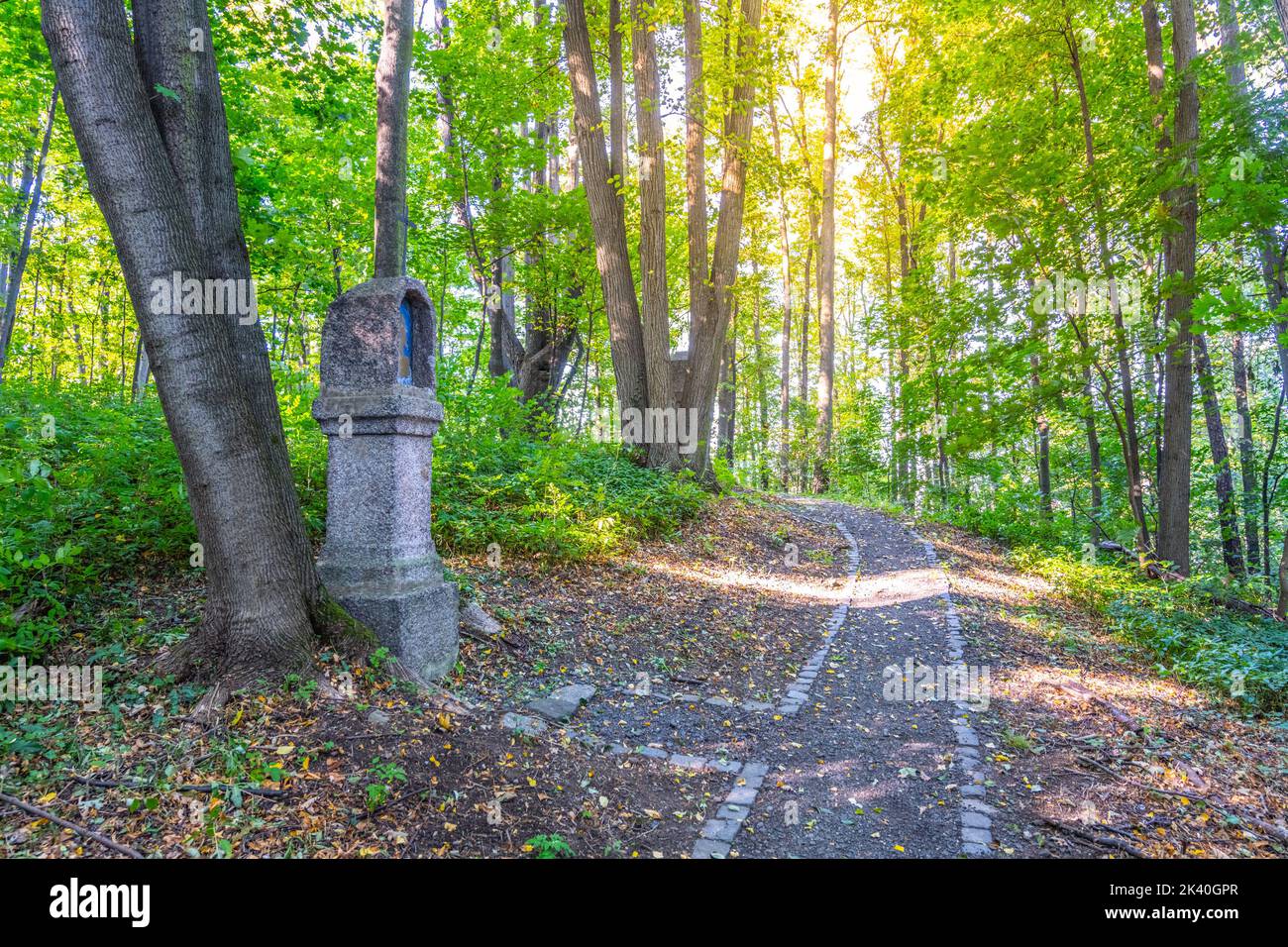 Monument cross jesus forest hi-res stock photography and images - Alamy