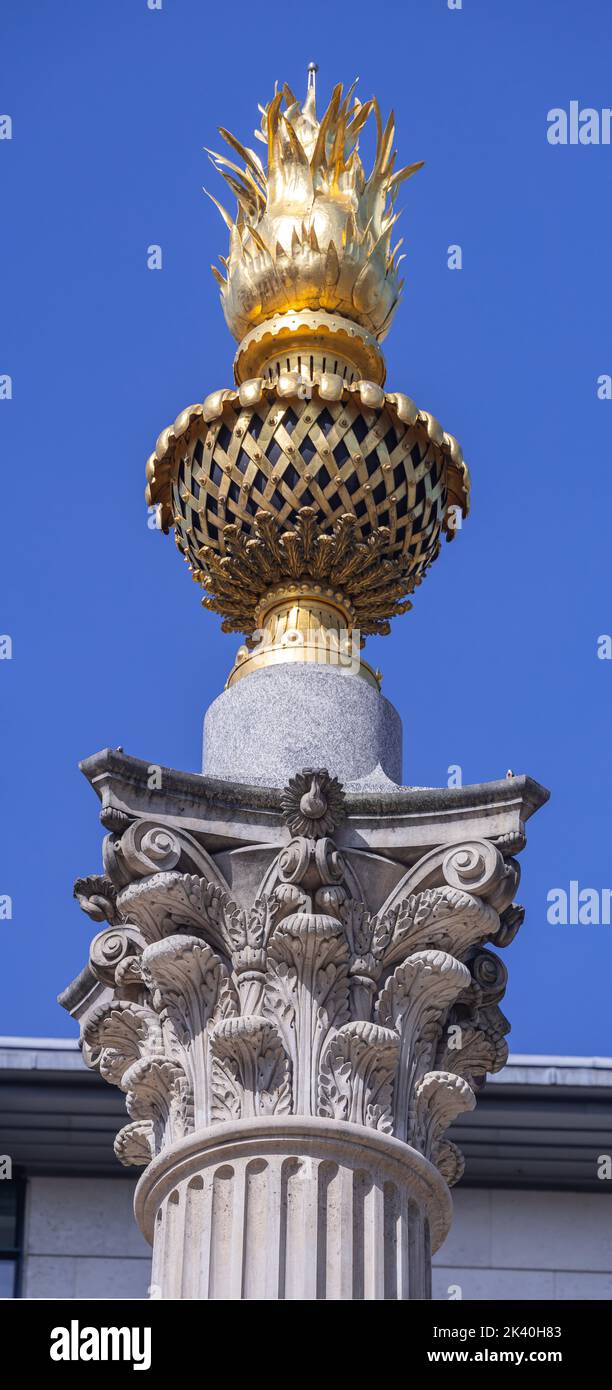The Monument - Great Fire of London 1666 Stock Photo - Alamy