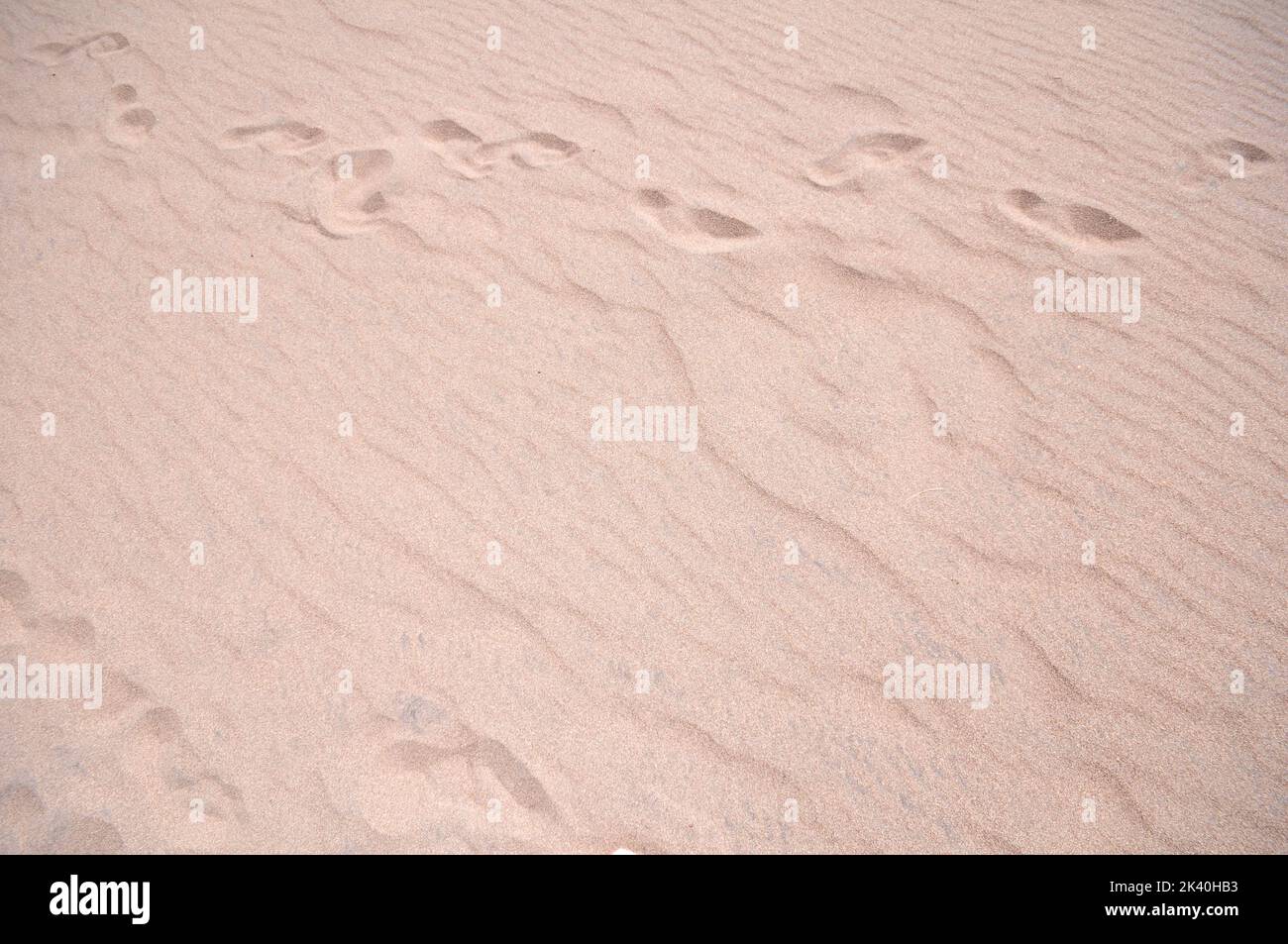 Desert sand background stock photo Stock Photo - Alamy
