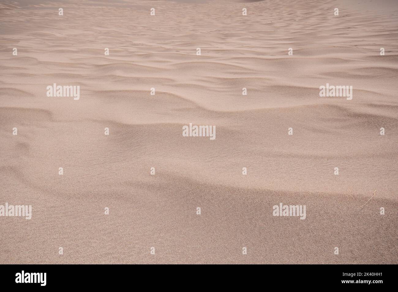 Desert sand background stock photo Stock Photo - Alamy
