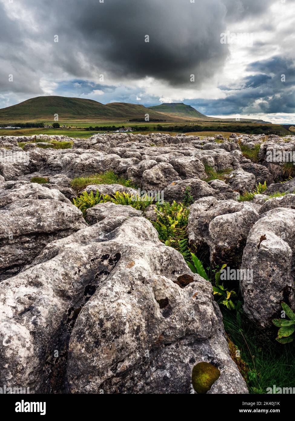 Dramatic clouds over the flat topped Ingleborough hill from limestone ...